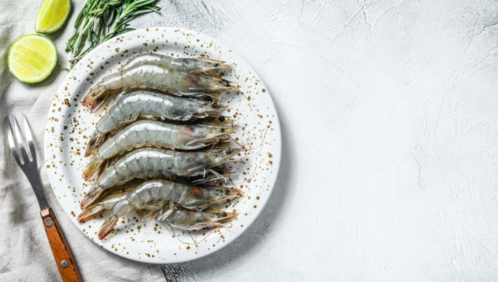 How To Store Live Shrimp Before Cooking? – Cooking Detective